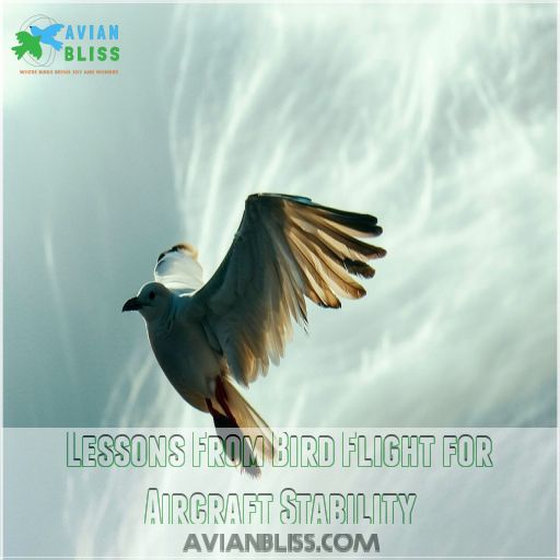 How Do Birds Fly in Strong Winds? Nature's Amazing Aerial Survival Skills