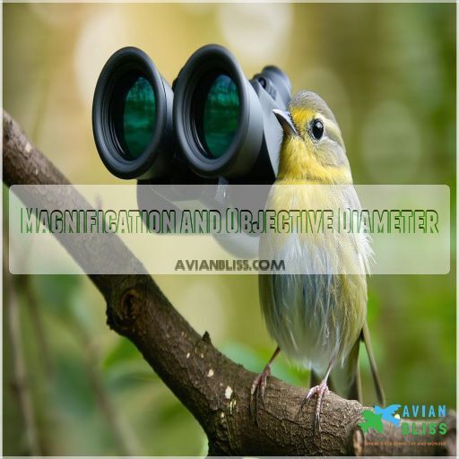 Bird Identification Using Binoculars: Tips for Clear and Confident Viewing