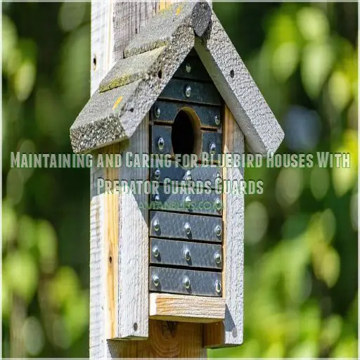 Bird Houses With Predator Protection: 4 Best Options to Keep Birds Safe