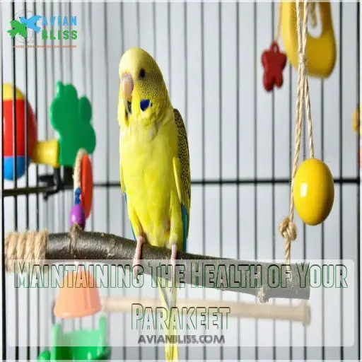 Buying Parakeets at PetSmart: 5 Must-Know Facts Before You Buy!