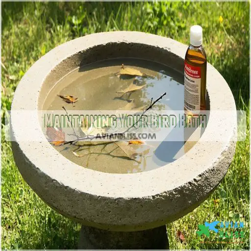 Bird Bath With Anti Freeze Solution: Keep Water Ice-Free