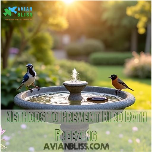 Bird Bath With Anti Freeze Solution: Keep Water Ice-Free