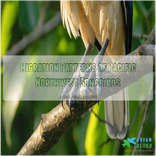 Common Songbirds of The Pacific Northwest: a Birdwatcher's Guide