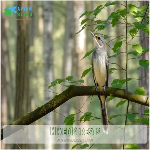 Types of Birds and Their Habitats: Explore Diverse Environments