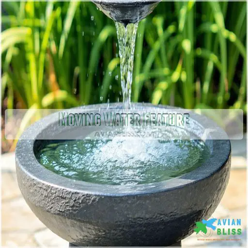 Bird Bath for Bluebirds: Best Designs and Tips to Attract Them