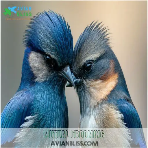 Do Birds Kiss? The Shocking Truth About Feathered Romance!