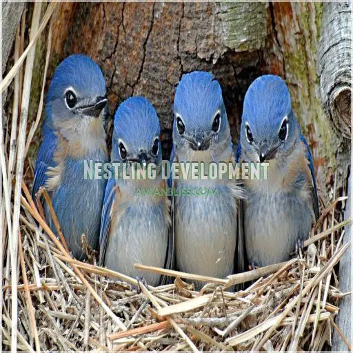 Bluebird Parental Care: Hatchlings to Fledglings Secrets Revealed