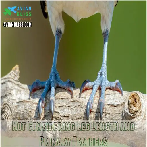 Common Bird Identification Mistakes: Avoid These 7 Errors