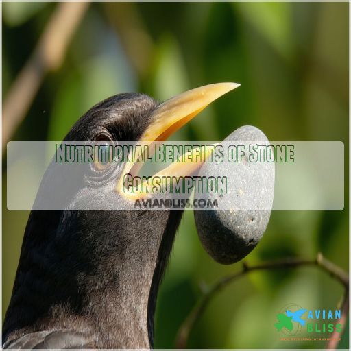 Why Do Birds Eat Rocks? The Secrets Behind Their Diet