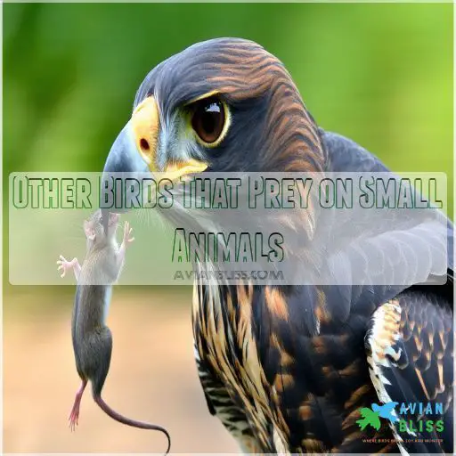 Bird Facts About Predators: Top Threats & Prey Dynamics