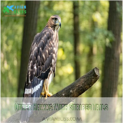 Hawks With Striped Tails: 10 Must-Know Bird ID Tips!