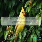 Are There Yellow Cardinals? The 1-in-a-Million Bird Miracle!