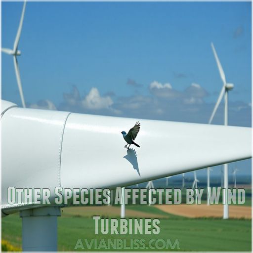 Do Windmills Kill Birds? The Shocking Truth About Turbine Deaths in 2024