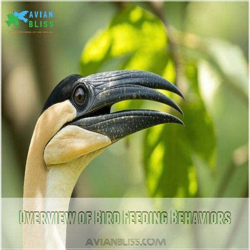 Bird Eating Habits Change: What You Should Know About Their Diets