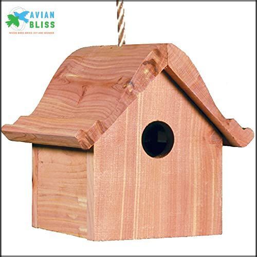Bird Houses Suitable for Wrens: Top 4 Picks & Expert-Friendly DIY Tips