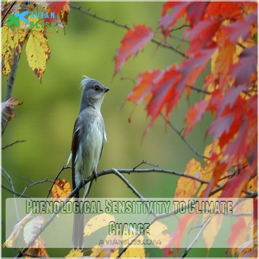 Impact of Climate Change on Bird Populations and Migration
