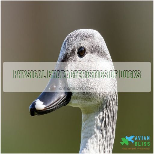 Are Ducks Birds? Discover Surprising Facts & Insights!