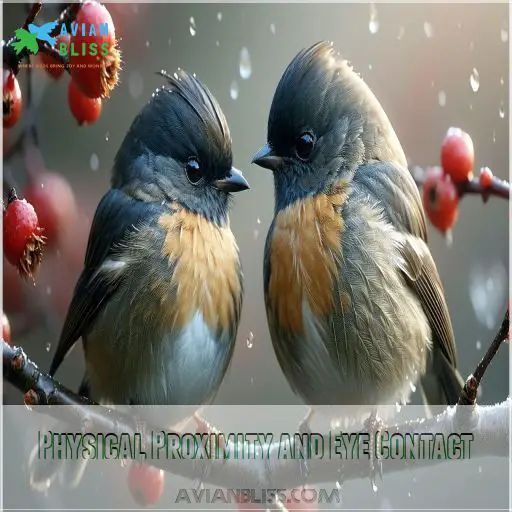 Do Birds Kiss? The Shocking Truth About Feathered Romance!