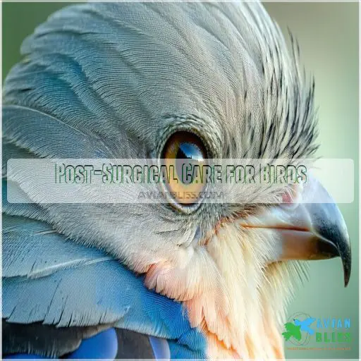 Bird Vet Surgery: Your Guide to Safe, Successful Avian Care in 2024
