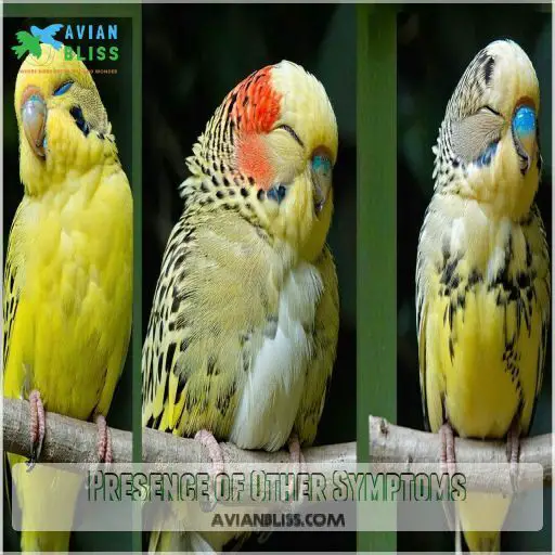 Bird Sleeping More Than Usual? 7 Red Flags You Can't Ignore