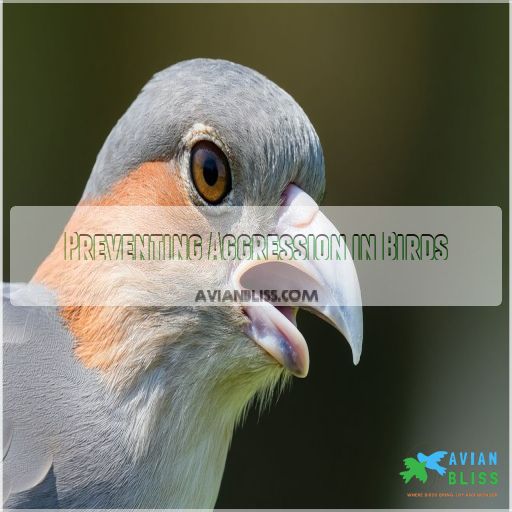 Bird Aggression Change: Tips for Managing Avian Behavior
