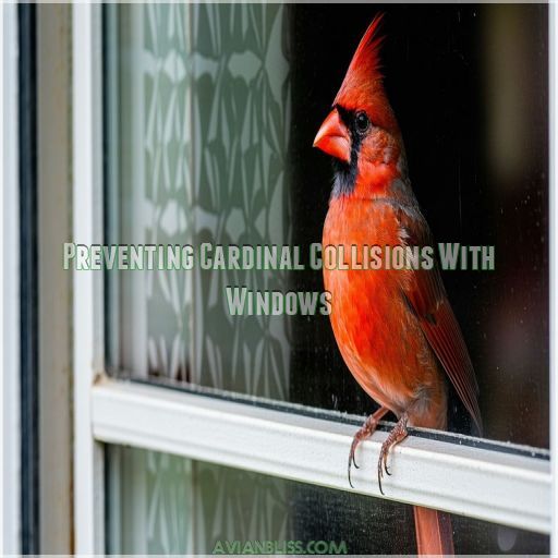 Why Do Cardinals Fly Into Windows? 5 Shocking Reasons & Easy Solutions!