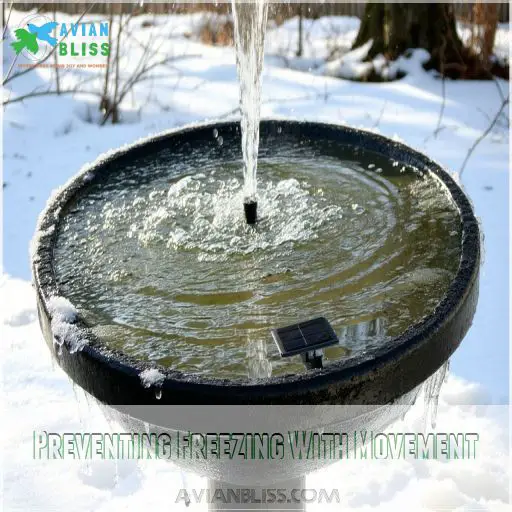 Bird Bath With Anti Freeze Solution: Keep Water Ice-Free
