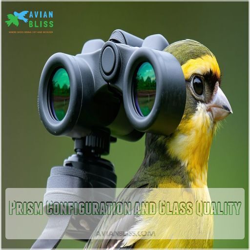 Bird Identification Using Binoculars: Tips for Clear and Confident Viewing