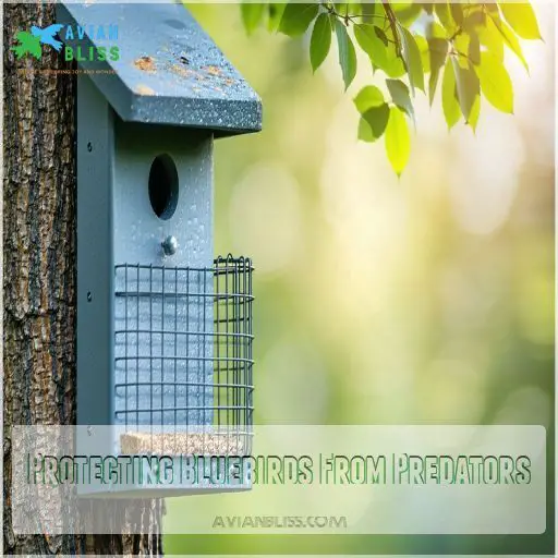 Bird Houses With Predator Protection: 4 Best Options to Keep Birds Safe