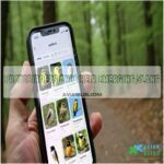 Bird Watching Slang: Secret Codes Revealed!