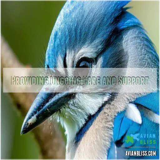 Baby Blue Jay Rescue Guide: What You Must Know Before Helping (65 Chars)