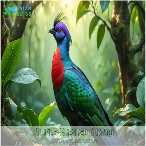 Birds With Black Mohawks: Stunning Species With Unique Head Feathers