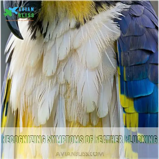 Bird Feather Plucking Stress: Causes and Solutions Explained