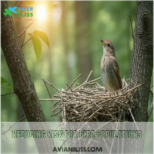 Impact of Climate Change on Bird Populations and Migration