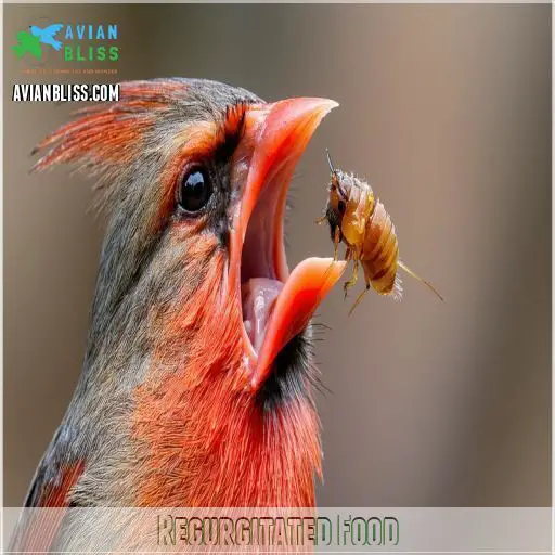 What Do Baby Cardinals Eat? A Complete Feeding Guide for New Parents (2024)