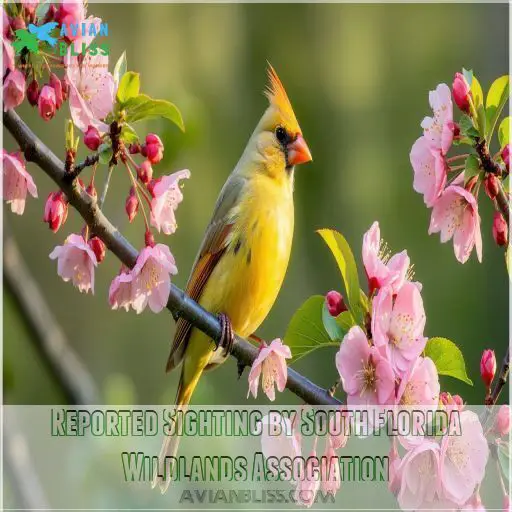 Are There Yellow Cardinals? The 1-in-a-Million Bird Miracle!