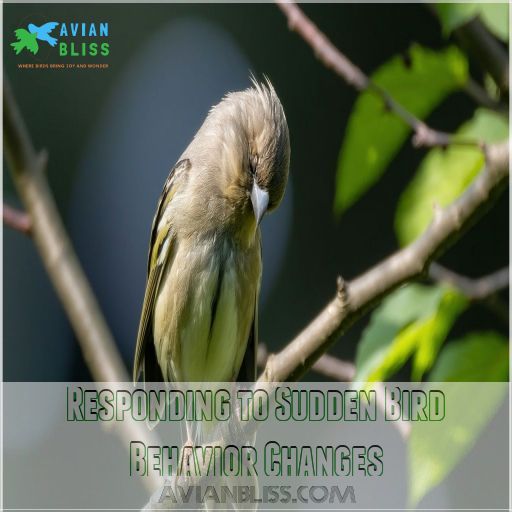 Sudden Bird Behavior Changes: 7 Warning Signs You Can't Ignore in 2024