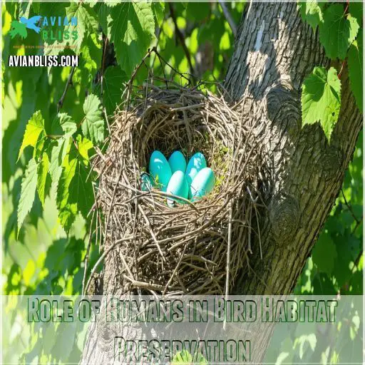 Importance of Habitat Preservation for Birds: Key to Survival