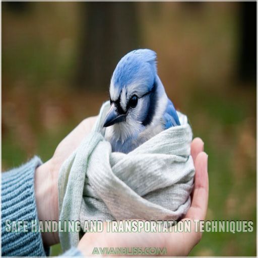 Baby Blue Jay Rescue Guide: What You Must Know Before Helping (65 Chars)