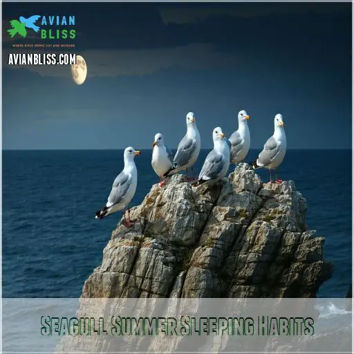 Where Do Seagulls Sleep? Secrets of Their Sleeping Habits and Patterns