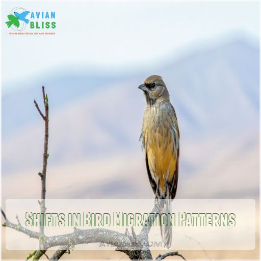 Impact of Climate Change on Bird Populations and Migration