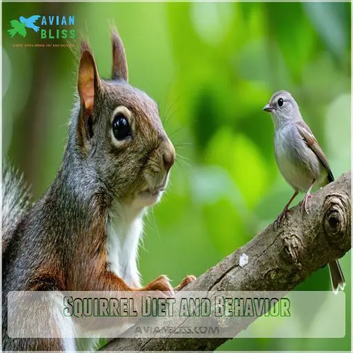 Do Squirrels Eat Birds? Shocking Facts About Their Diet and Behavior