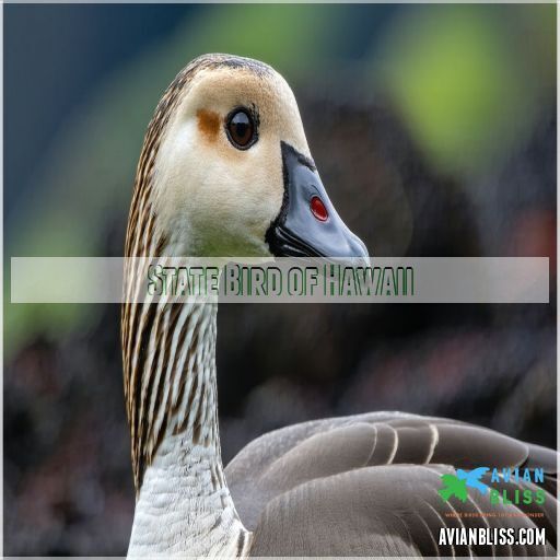 Birds of Hawaii: Explore Native and Exotic Species (2024 Guide)