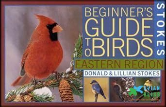 Best Bird Identification Books for Beginners: Top 3 Must-Have Guides