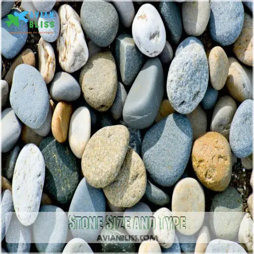 Why Do Birds Eat Rocks? The Secrets Behind Their Diet