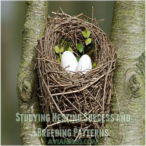 Bird Conservation Through Citizen Science: Join The Movement Today