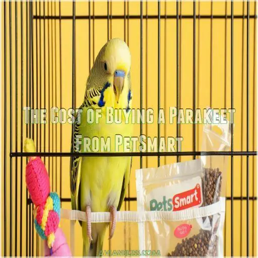 Buying Parakeets at PetSmart: 5 Must-Know Facts Before You Buy!