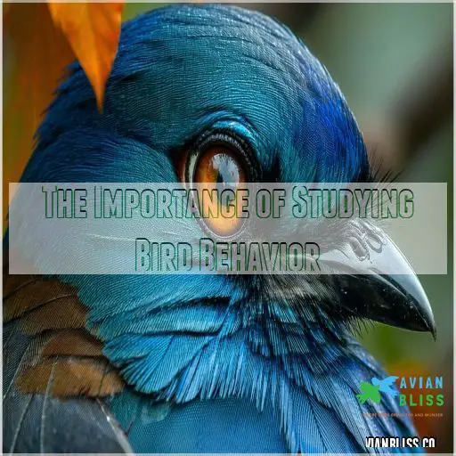 Amazing Bird Behaviors Explained: 9 Mind-Blowing Facts About Avian Life ...