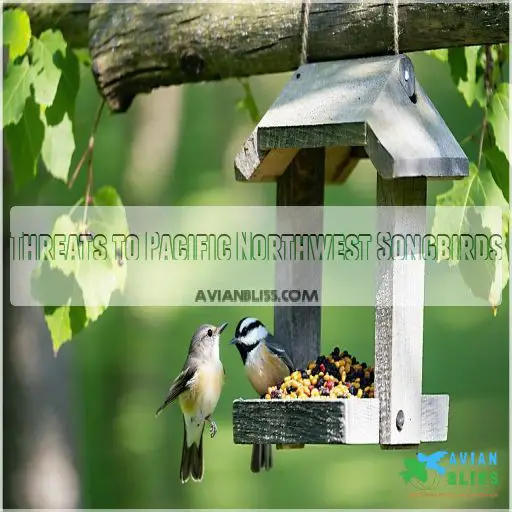 Common Songbirds of The Pacific Northwest: a Birdwatcher's Guide