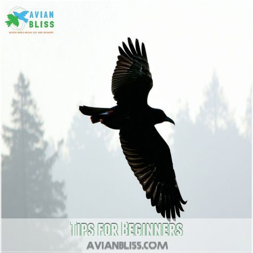 How to Identify Birds in Flight: Expert Tips for Quick & Easy Recognition